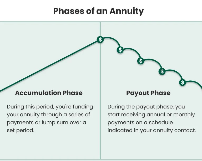 Understanding Annuities: A Beginner’s Guide – Wealth Elevated